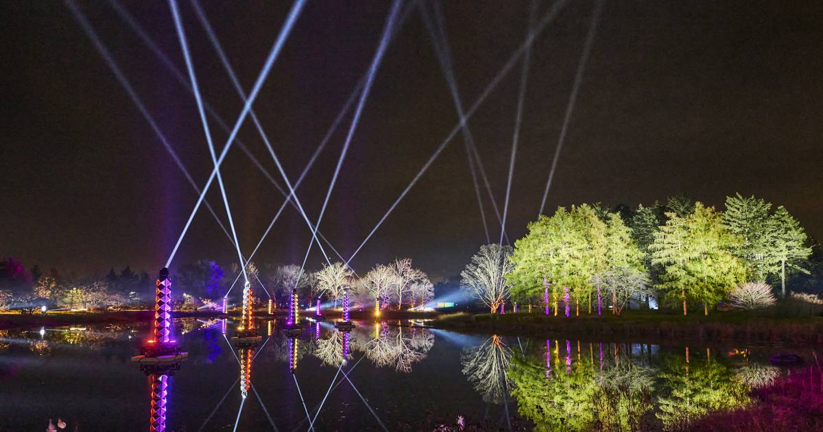 Morton Arboretum in Lisle reimagines Illumination: Tree Lights for ...