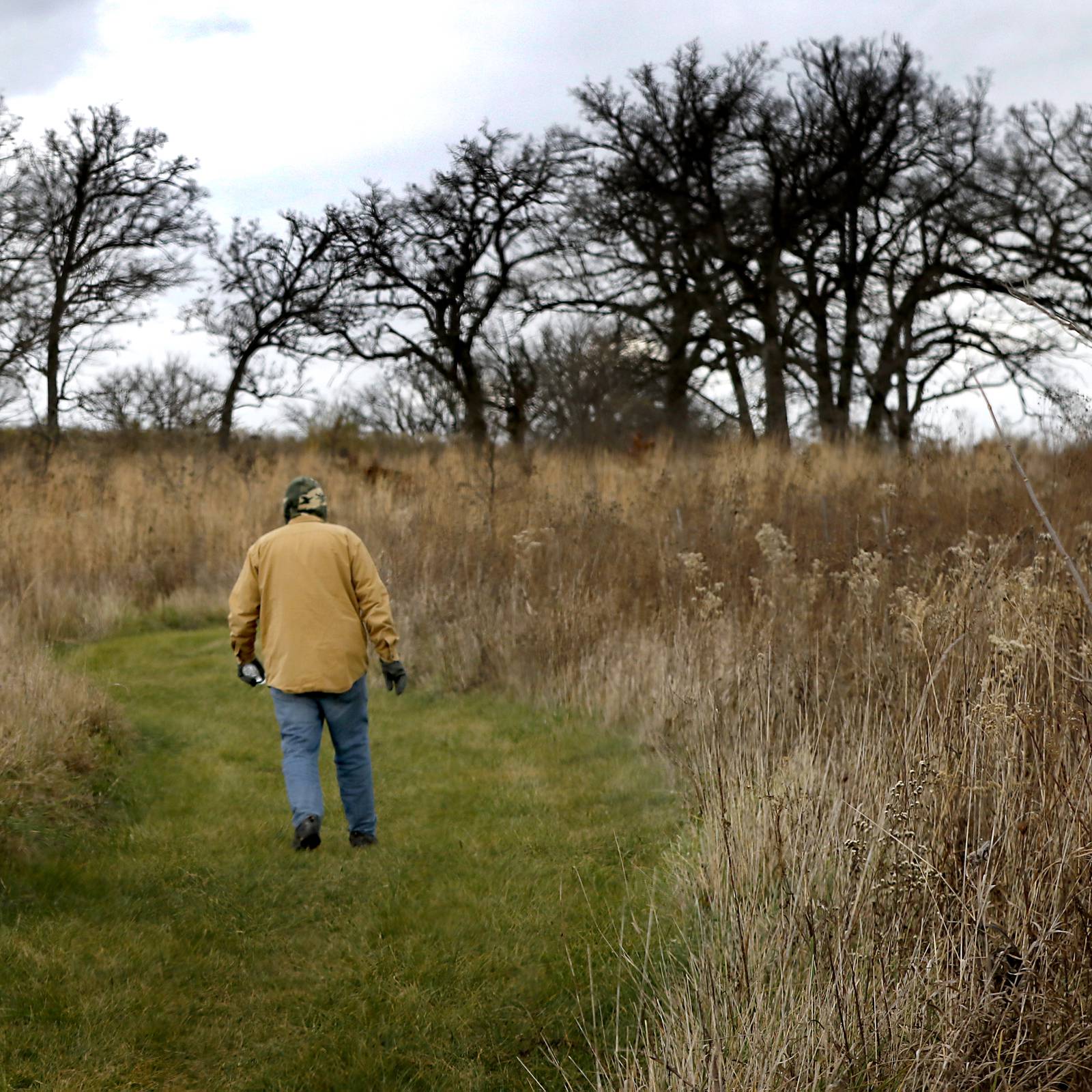 Nominees sought for 2025 McHenry County Conservation District awards ...