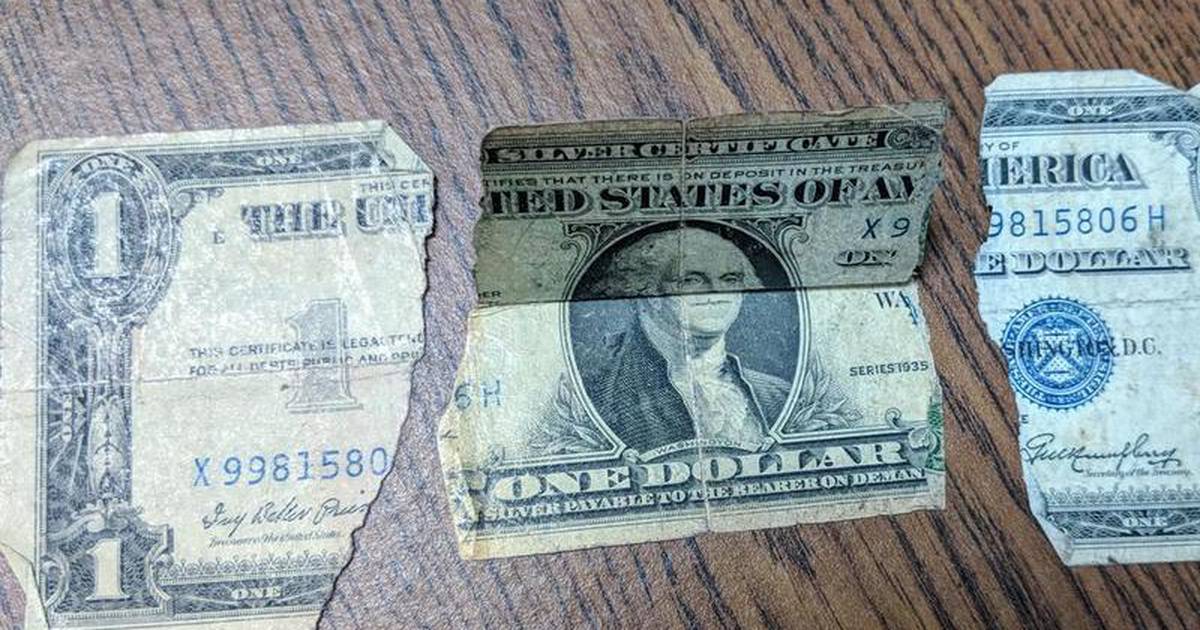 Dollar split among friends reunited – Shaw Local