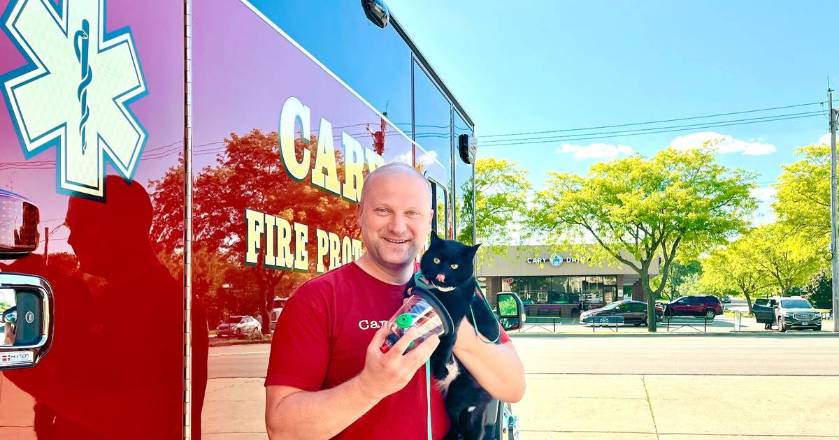 Cary Dairy owner announces bid for Cary mayor – Shaw Local