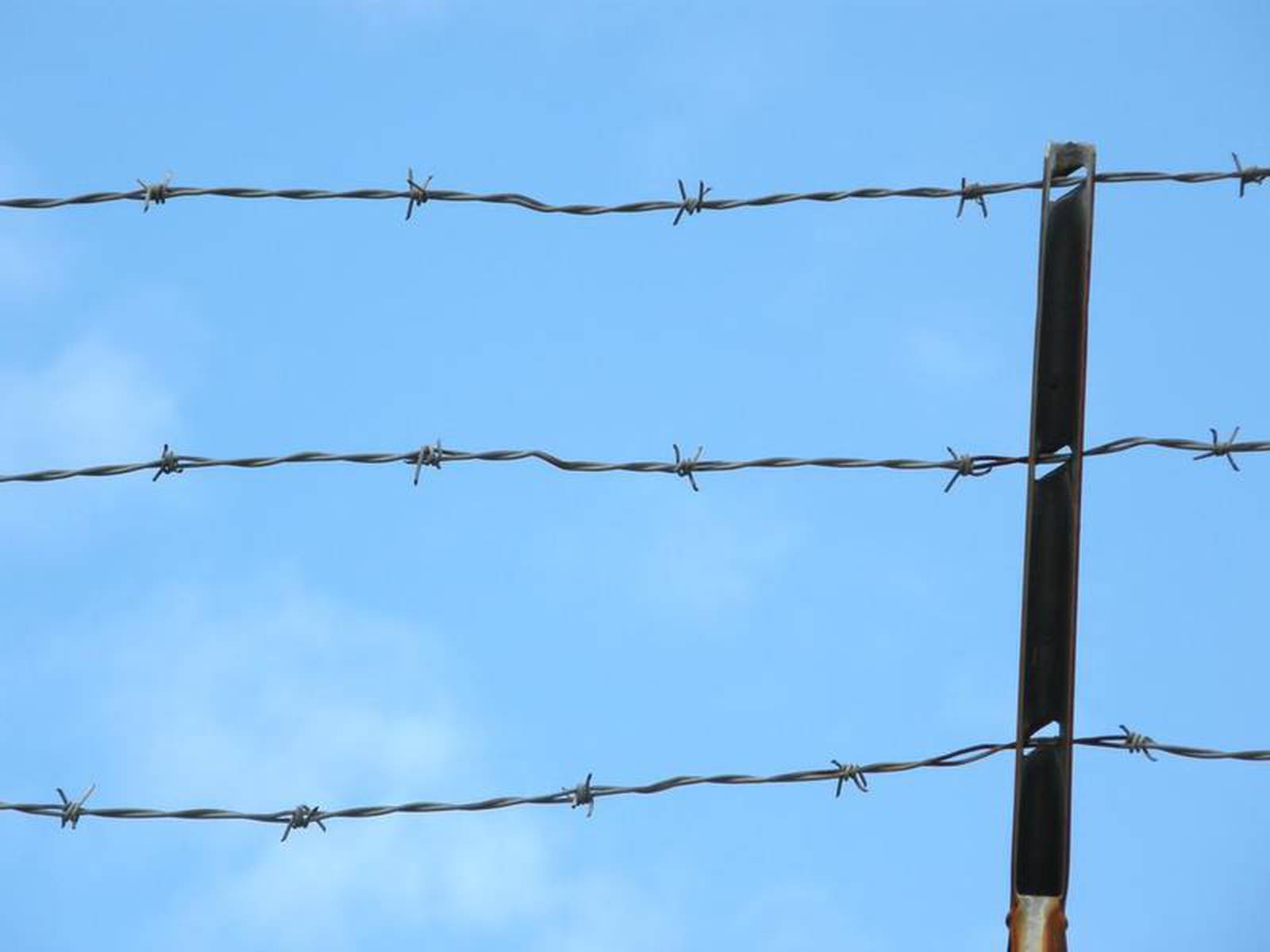 Barbed wire named as one of top 10 Illinois innovations and inventions ...