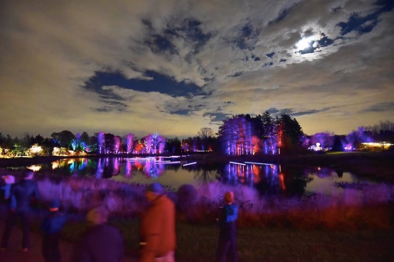 ‘Refreshed, renewed, rethought’: Morton Arboretum’s holiday ...