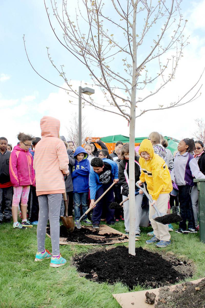 Students celebrate Earth Day with tree planting at Carol Stream school ...