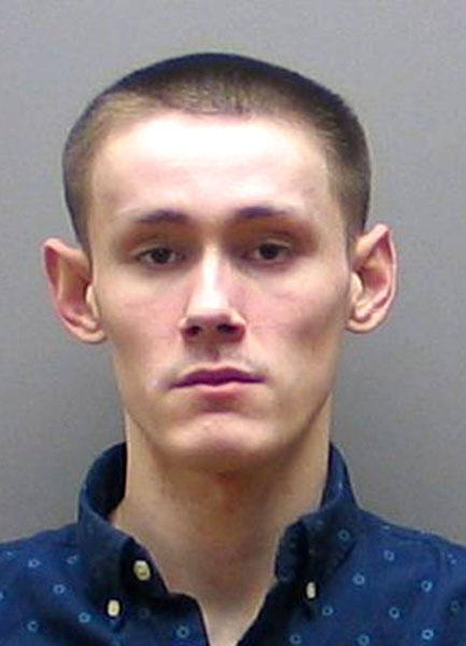 Police: St. Charles man accused of injuring girlfriend's dog – Shaw Local