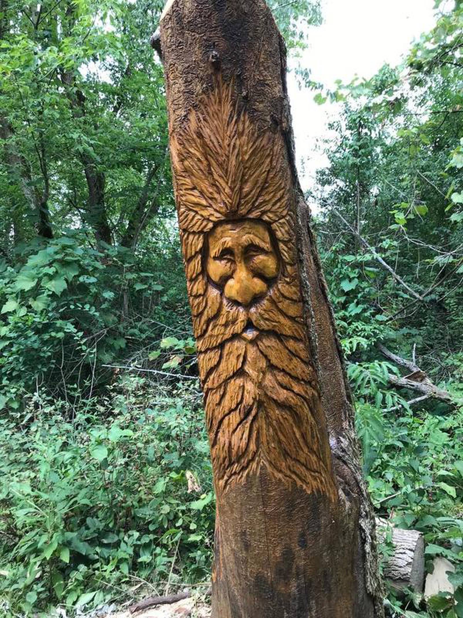 Turning dead trees into art – Shaw Local