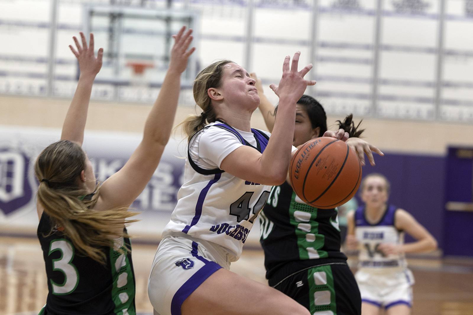 Girls basketball: Dixon turns up defense, flusters Rock Falls in BNC ...