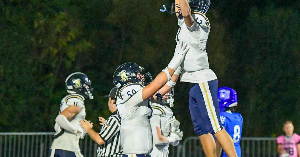 Roxana IHSA proposal releases mock-ups for 3A-4A schools – Shaw Local