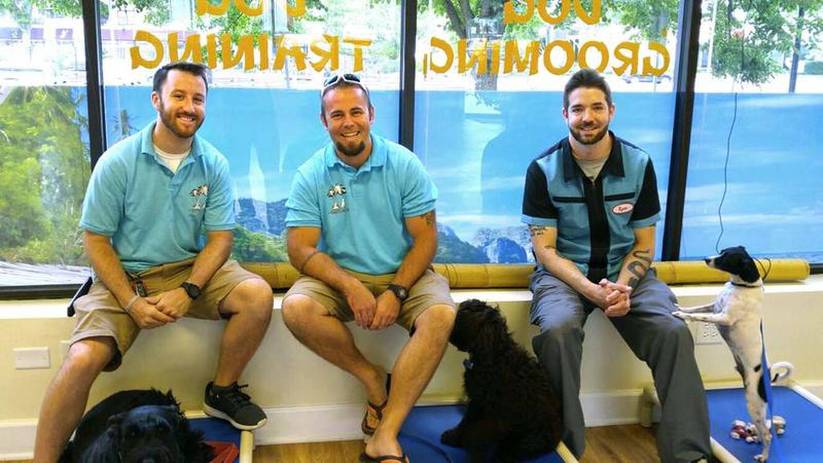 Glen Ellyn's Woof Beach Cove teaches dogs, owners new tricks – Shaw Local