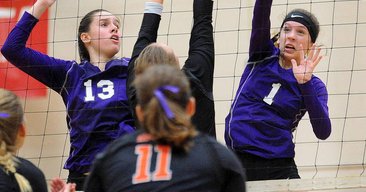 Volleyball: Alyssa Dolan, Reapers give Sandwich a good run – Shaw Local