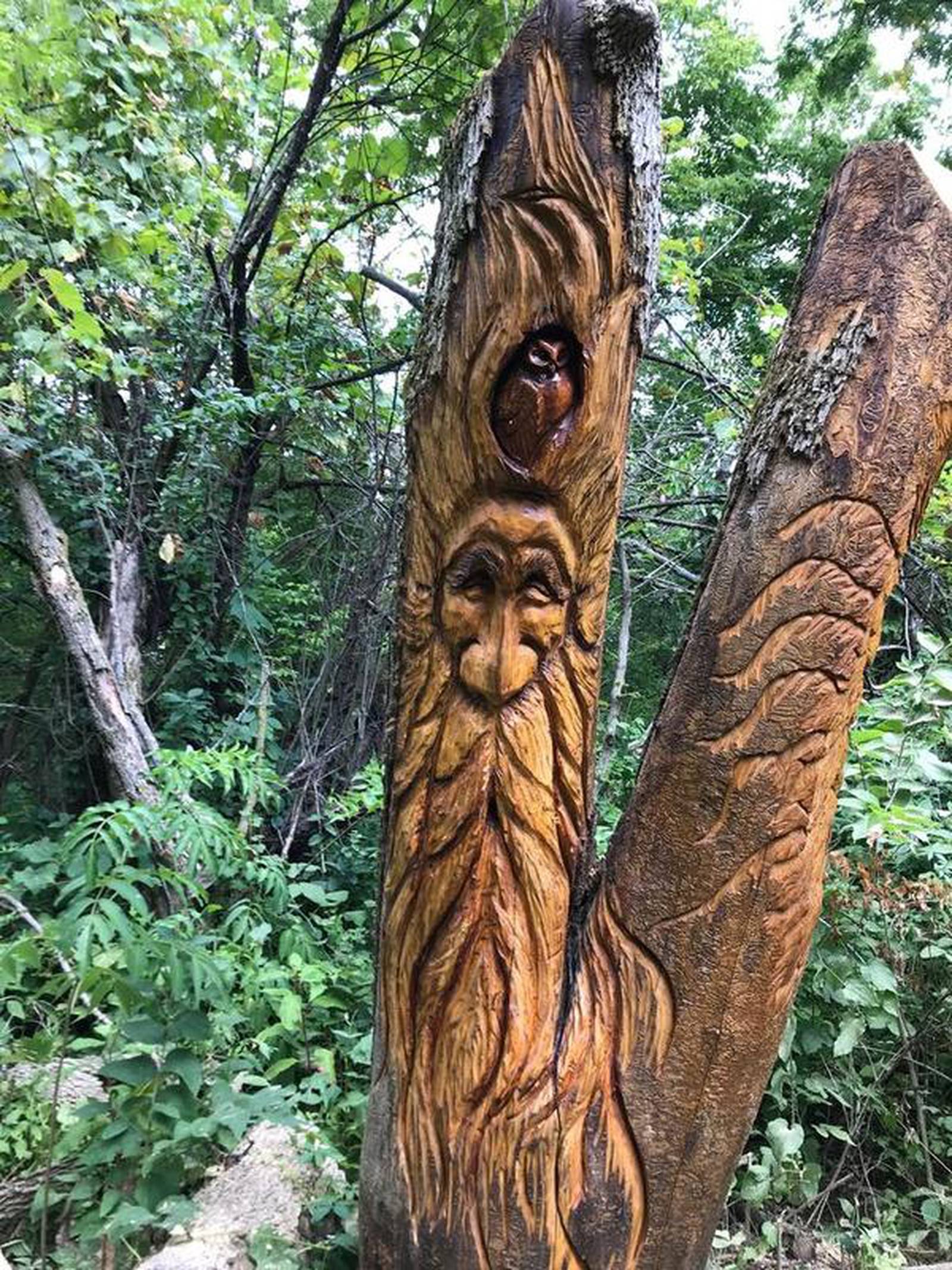 Turning dead trees into art – Shaw Local