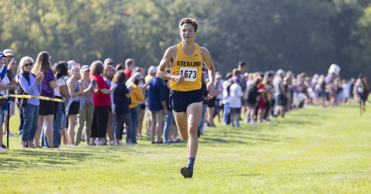 Cross country: Sterling’s Dale Johnson wins boys race; Dixon boys ...