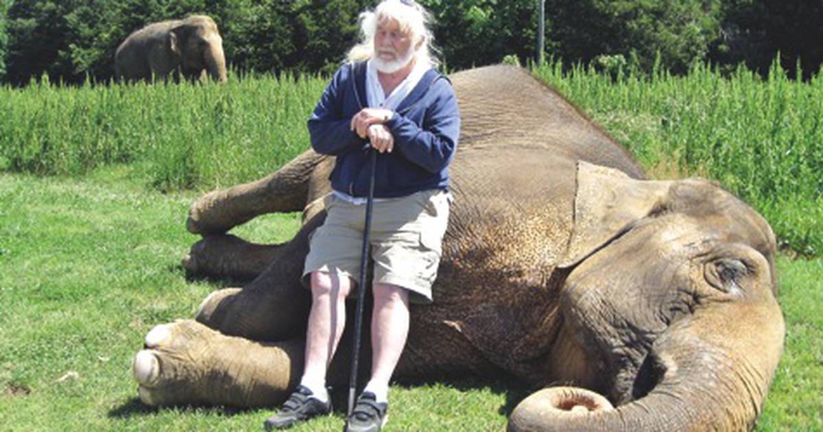 Elephants and guests find sanctuary in the Ozark Mountains – Shaw Local