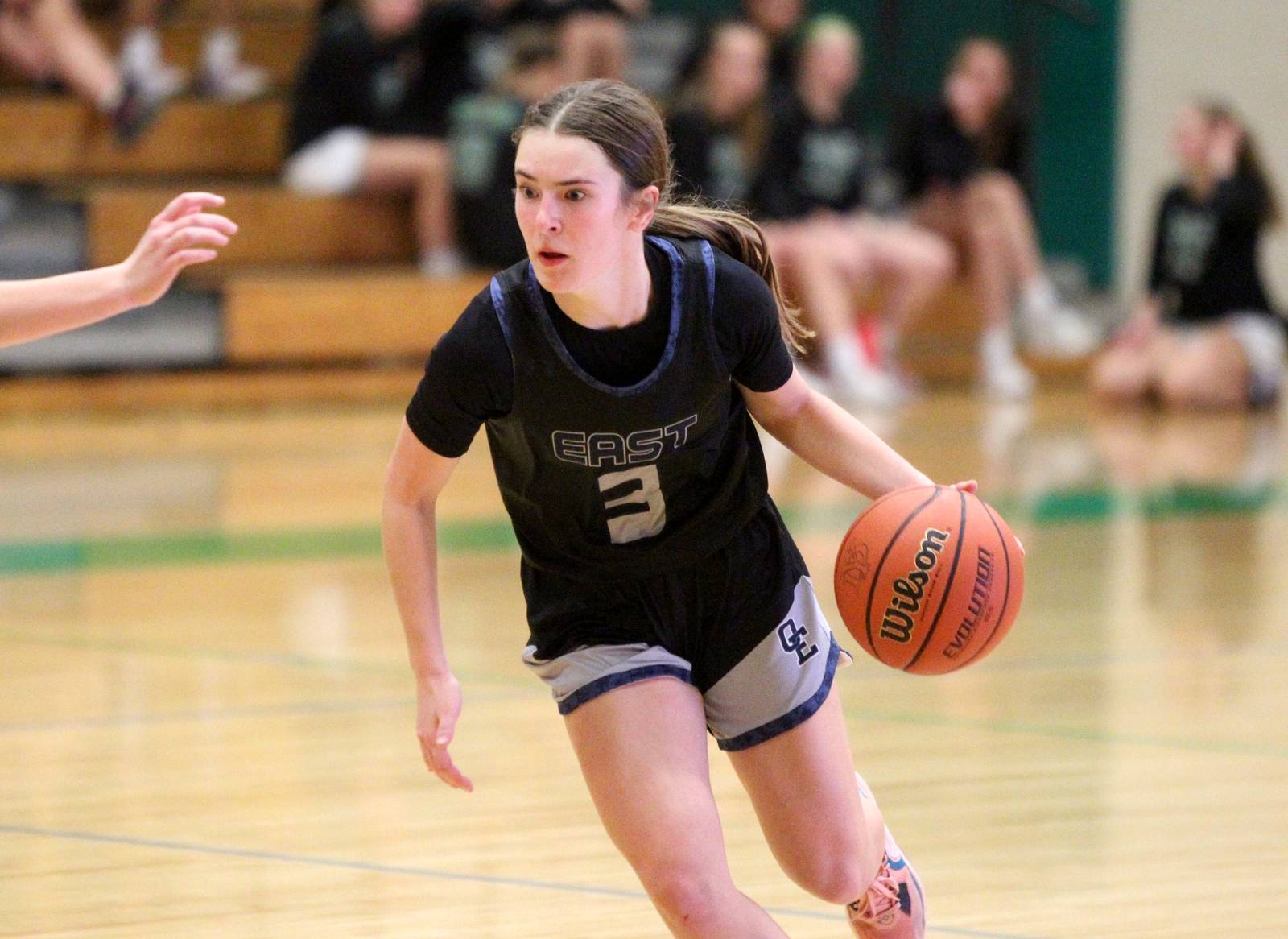 Girls basketball: Record Newspapers team preview capsules for the 2023 ...
