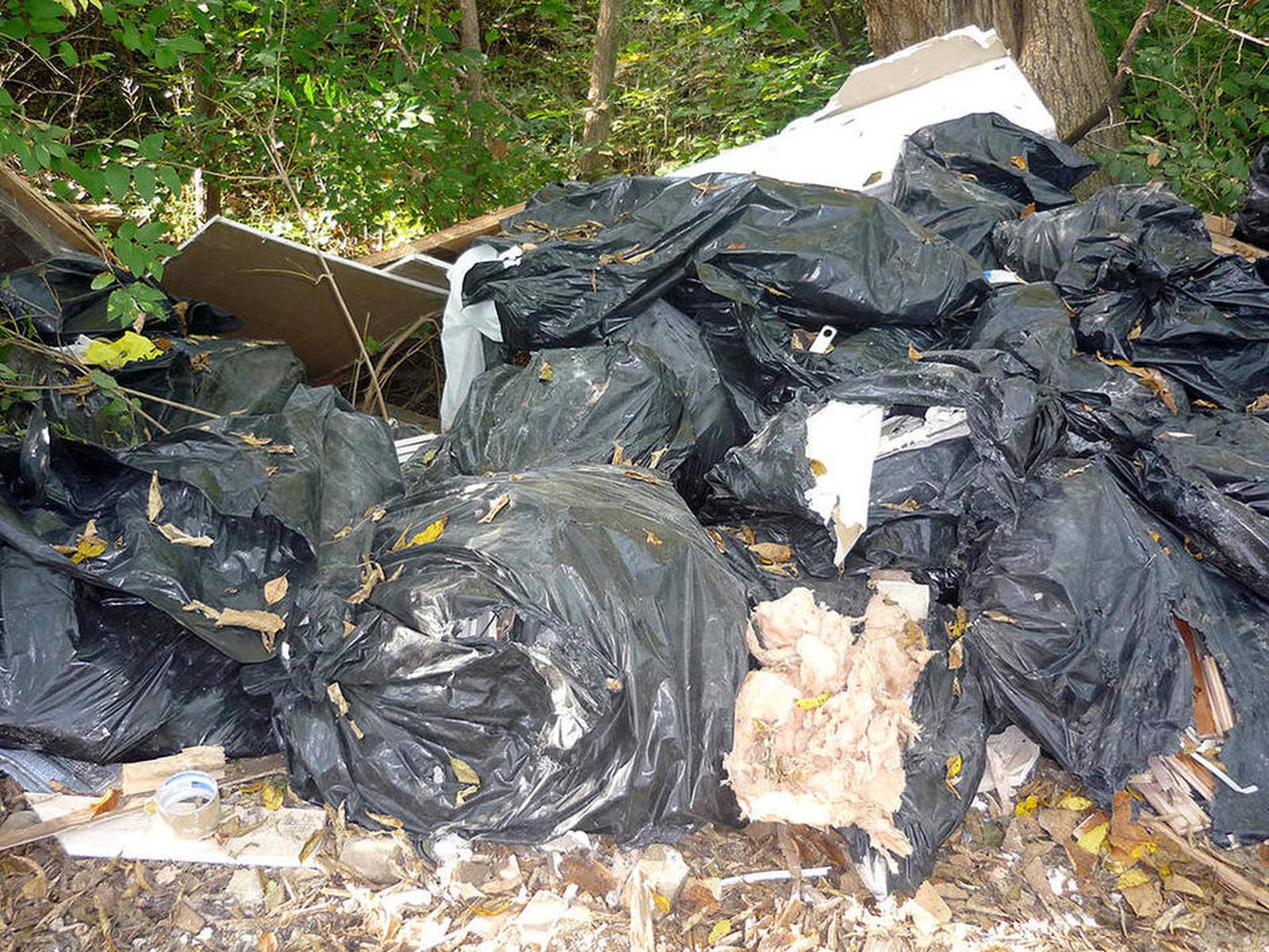 Fly dumping citations in Cook County Forest Preserves will cost $750 ...