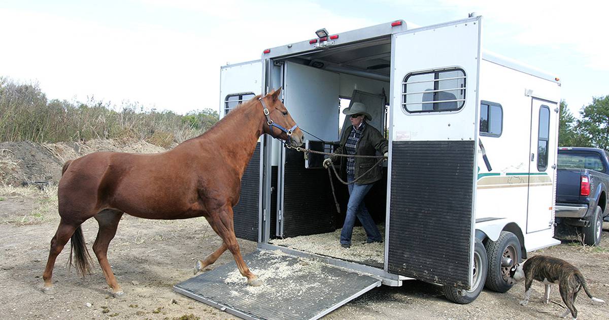 Bureau, Marshall, Putnam counties to host large animal rescue class Nov ...