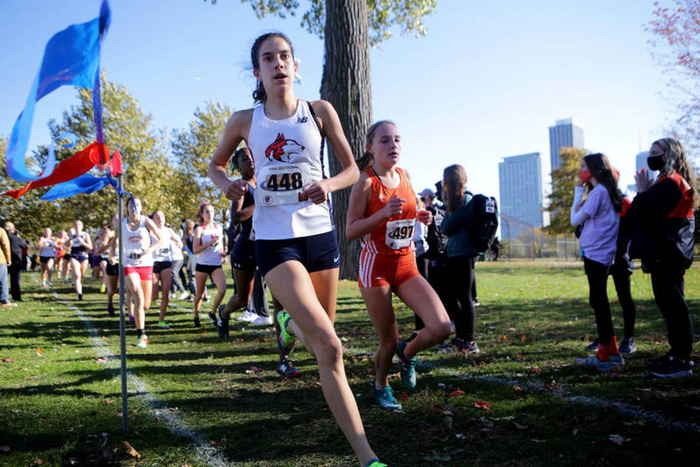Photos: Class 3A Whitney Young girls cross country meet – Shaw Local