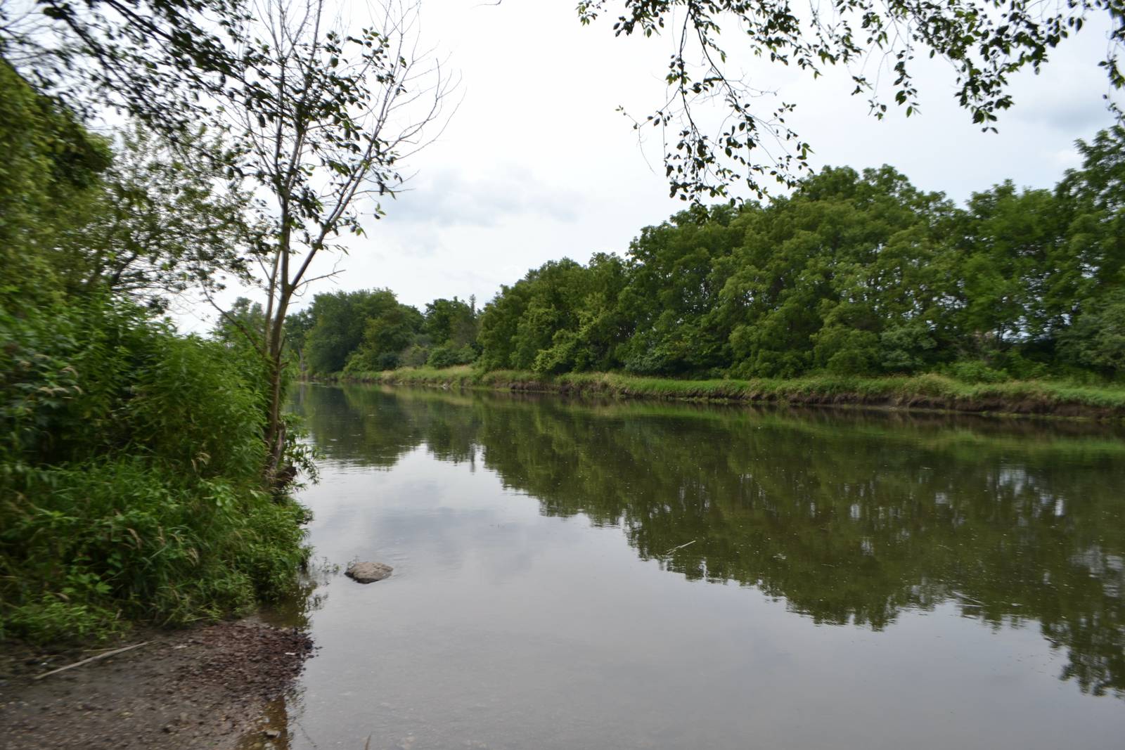 Plainfield adopts DuPage River restoration project plan – Shaw Local