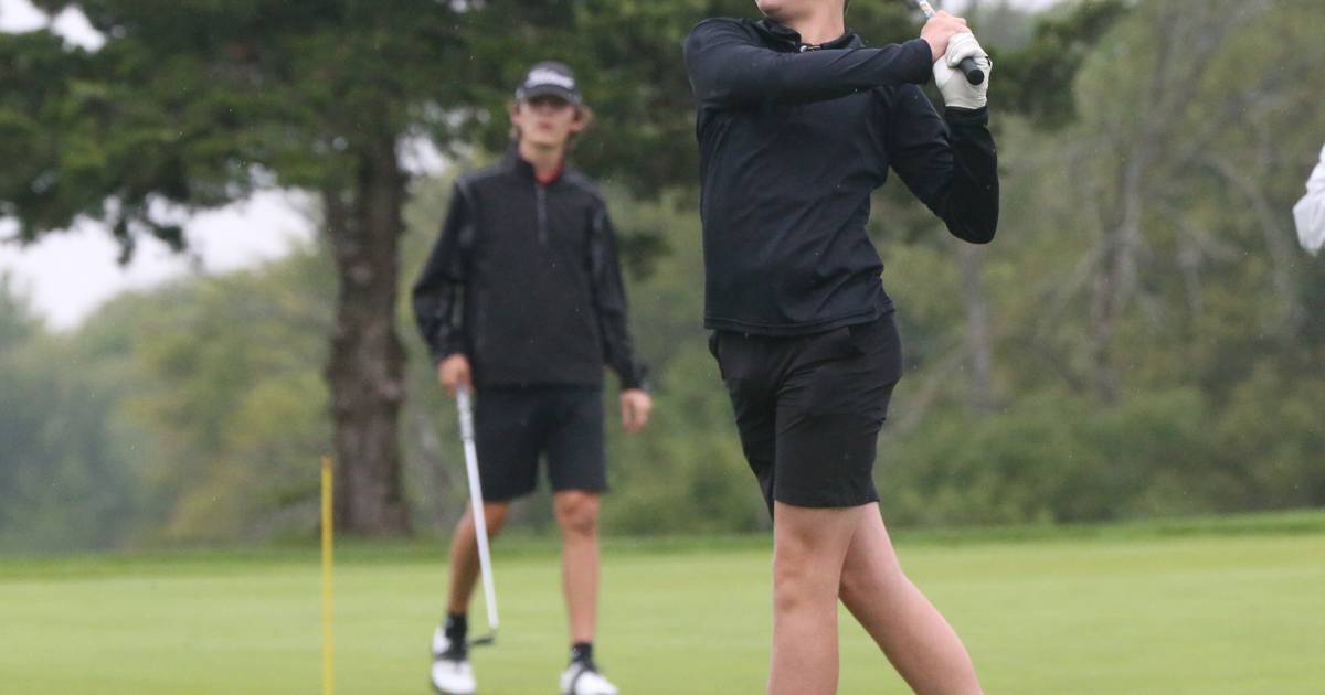 PC roundup: Panthers place ninth at boys golf regional – Shaw Local