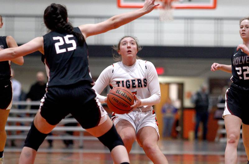 Photos: Prairie Ridge vs. Crystal Lake Central girls basketball – Shaw Local