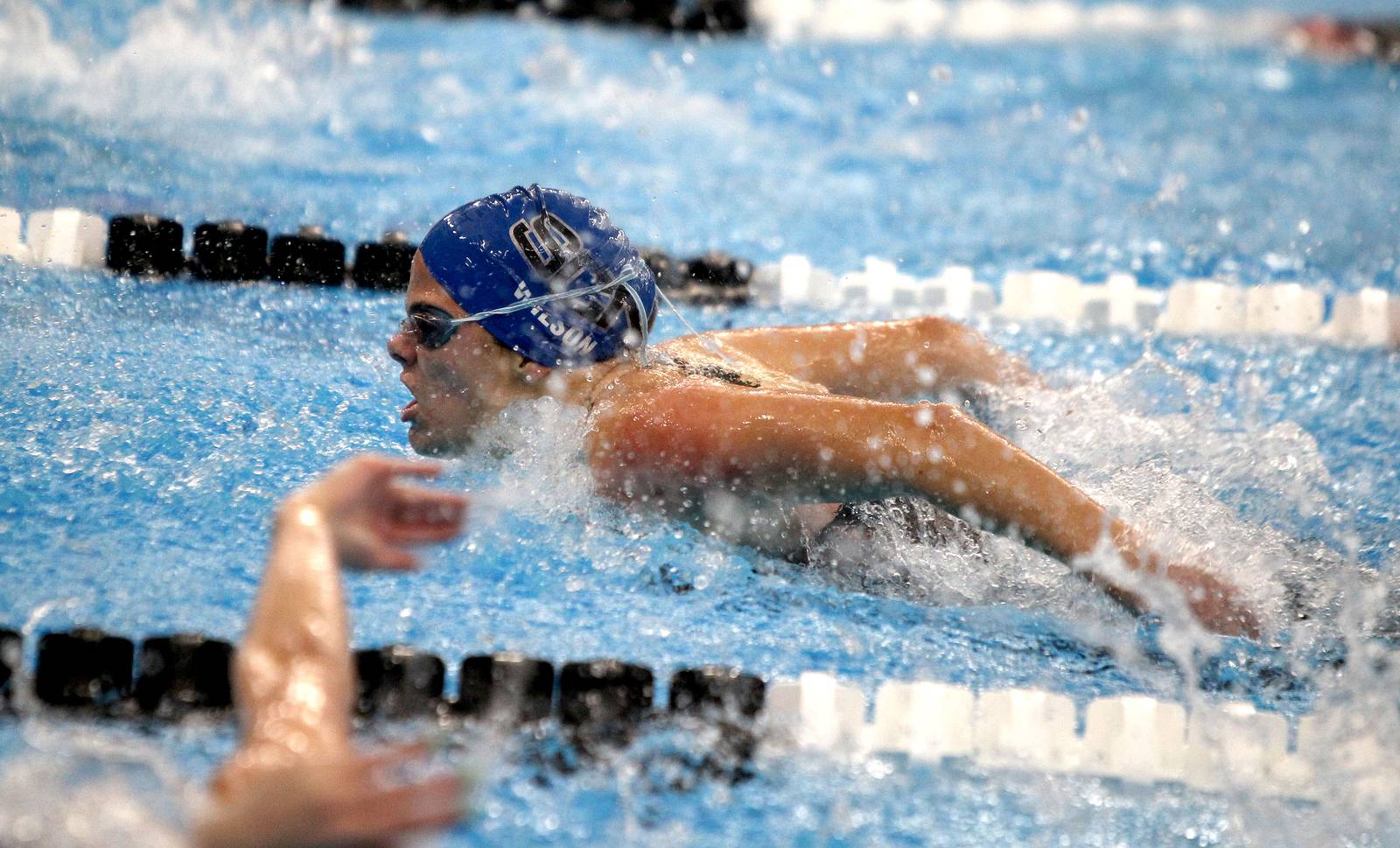 Photos: State swim preliminaries – Shaw Local
