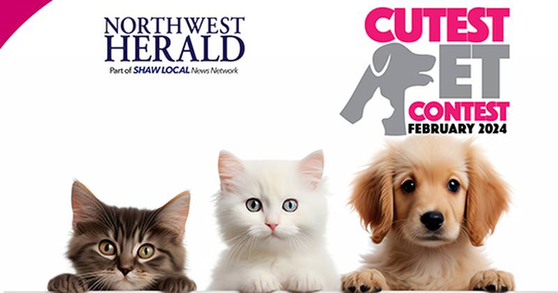 McHenry County's February 2024 Cutest Pet Contest – Shaw Local