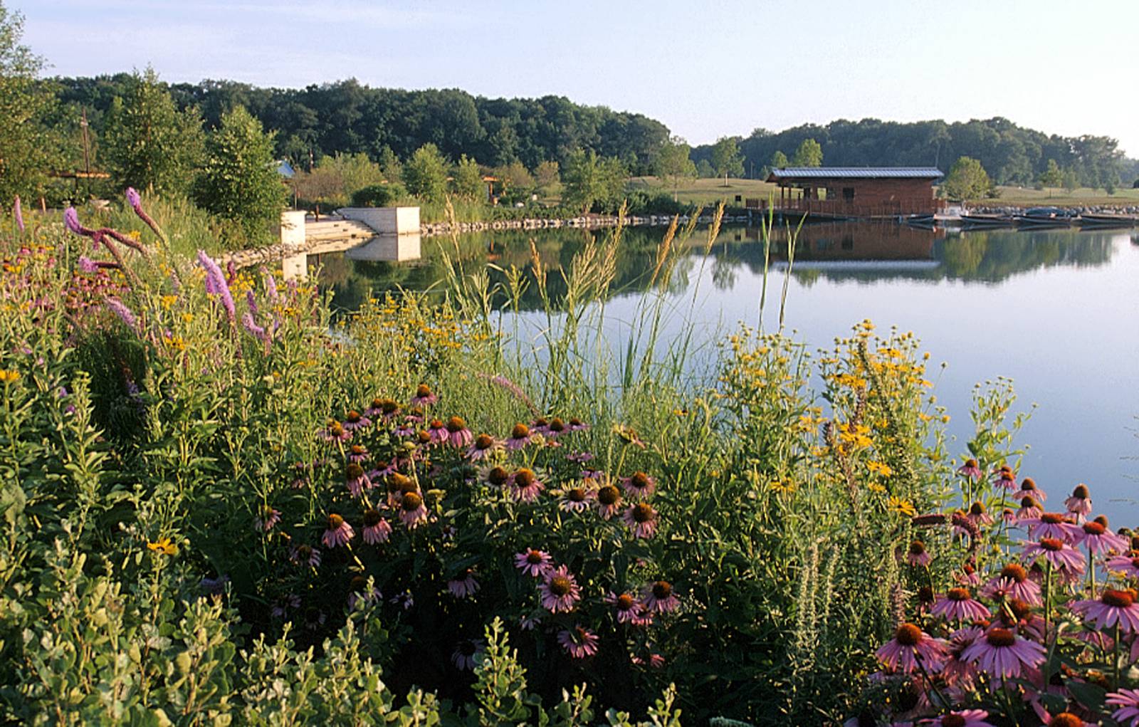 Residents give high marks to the Lake County Forest Preserves – Shaw Local