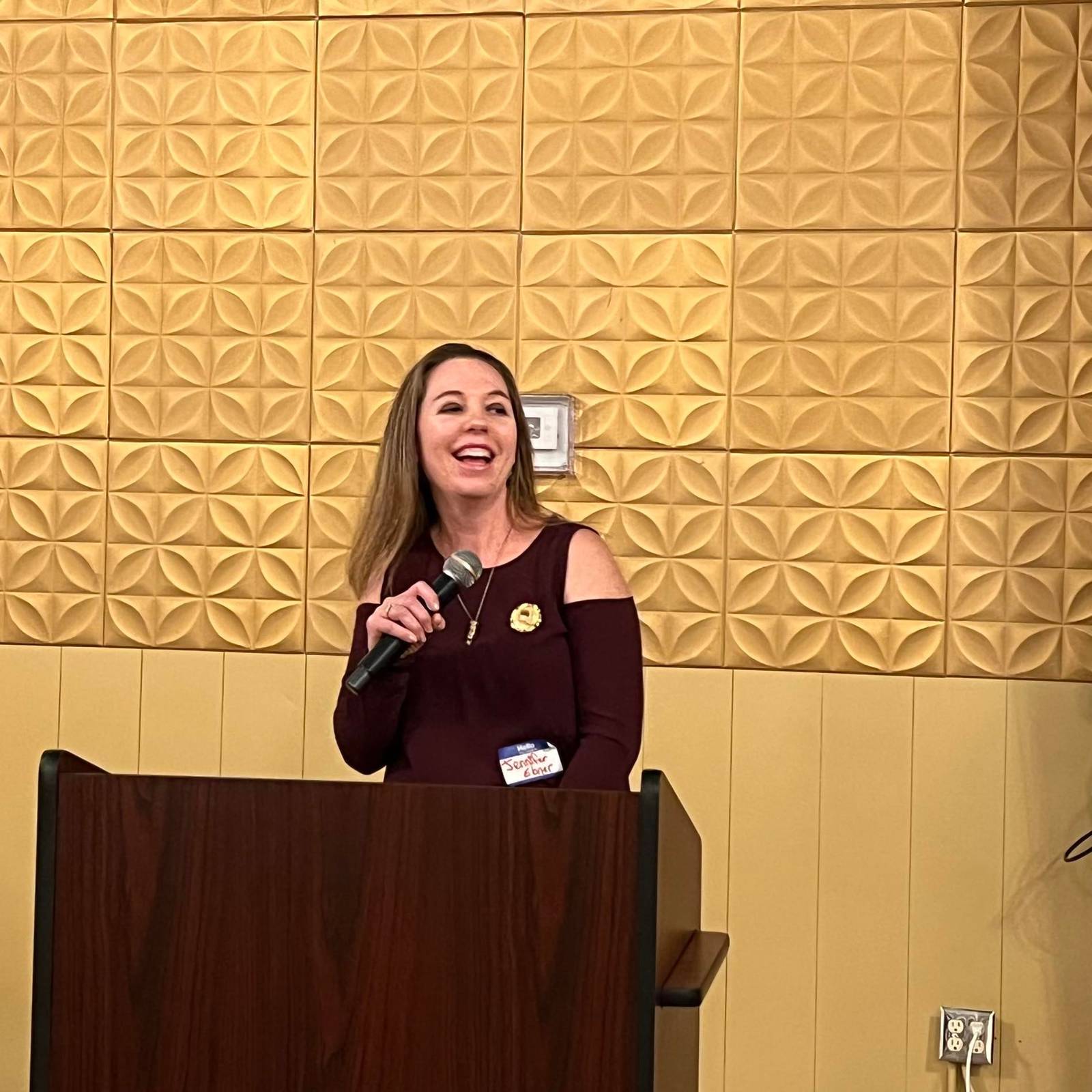 2022 Illinois primary election: Ebner on her way to GOP nomination for ...