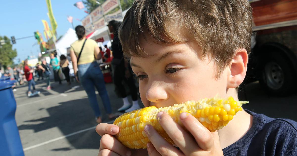 Photos: DeKalb's annual Corn Fest takes over downtown – Shaw Local
