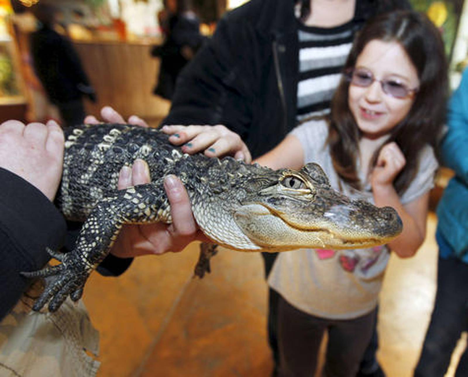 Serpent Safari closes after 15 years – Shaw Local