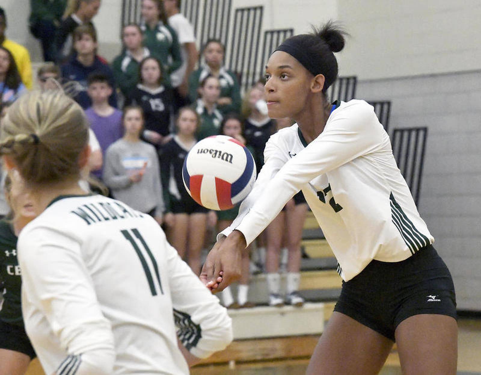 Landfair is Herald-News All-Area Girls Volleyball Player of the Year ...
