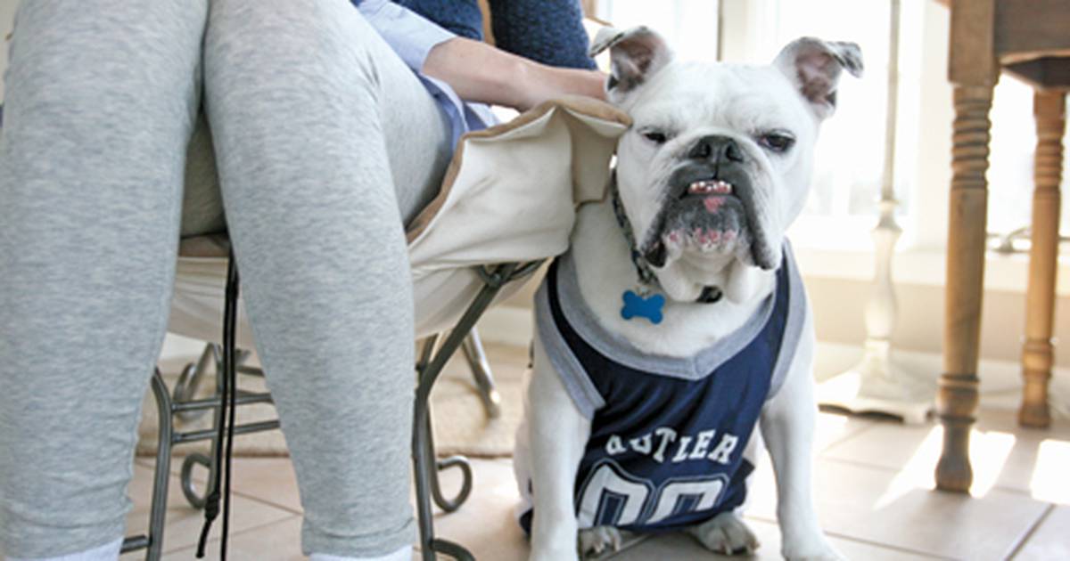 Growing Up Blue – Shaw Local