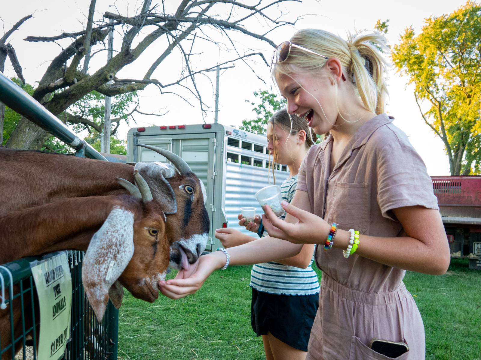 Photos: Tri-County Fair entertains visitors in Mendota – Shaw Local