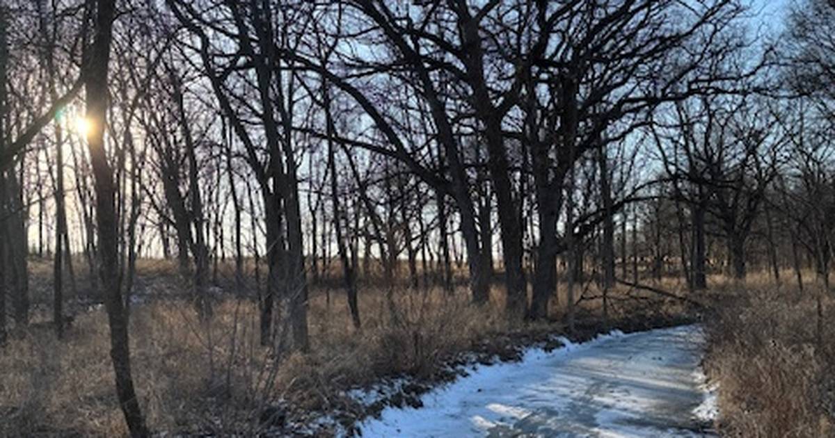 Holinger: Our park lands and structures need a $pring cleaning – Shaw Local