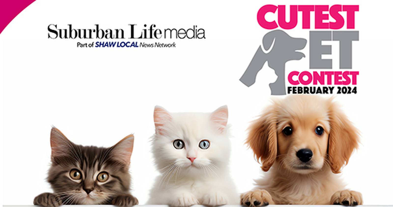 Vote in Suburban Life’s February 2024 Cutest Pet Contest – Shaw Local