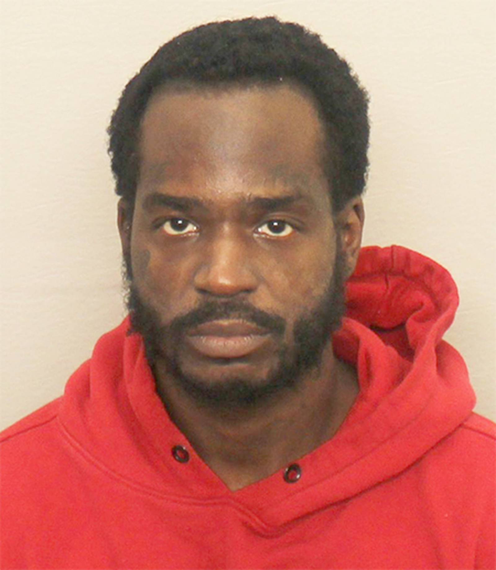 Continuance granted in Rockford man’s 17-count case being prosecuted by ...