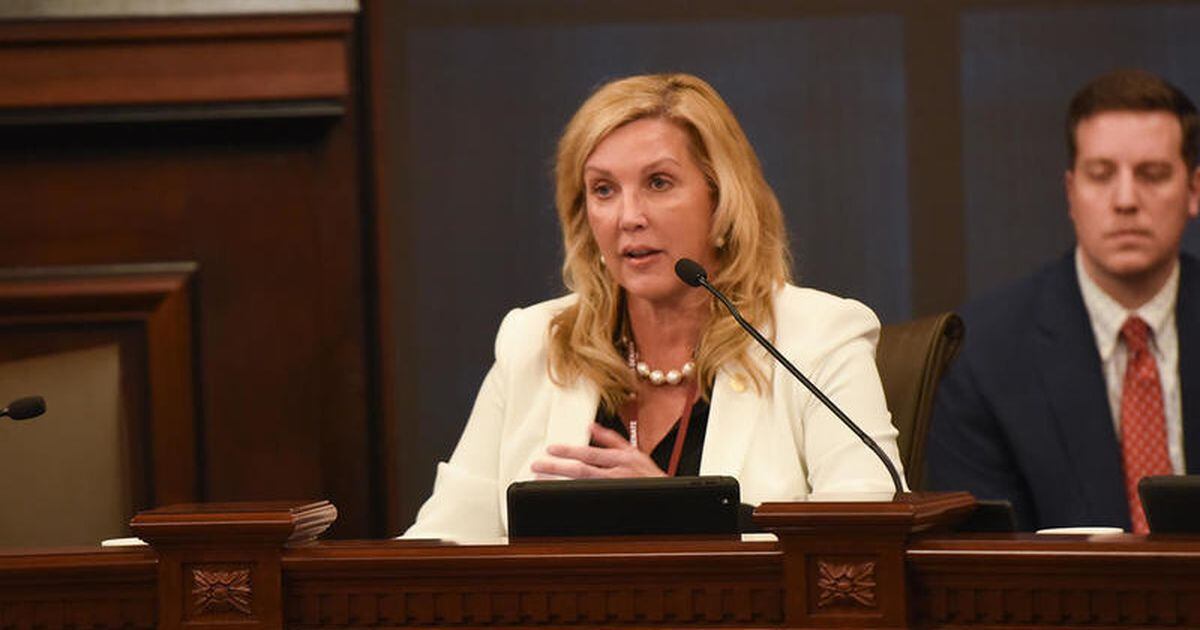 State Sen. Sue Rezin will run for Congress in 14th District – Shaw Local