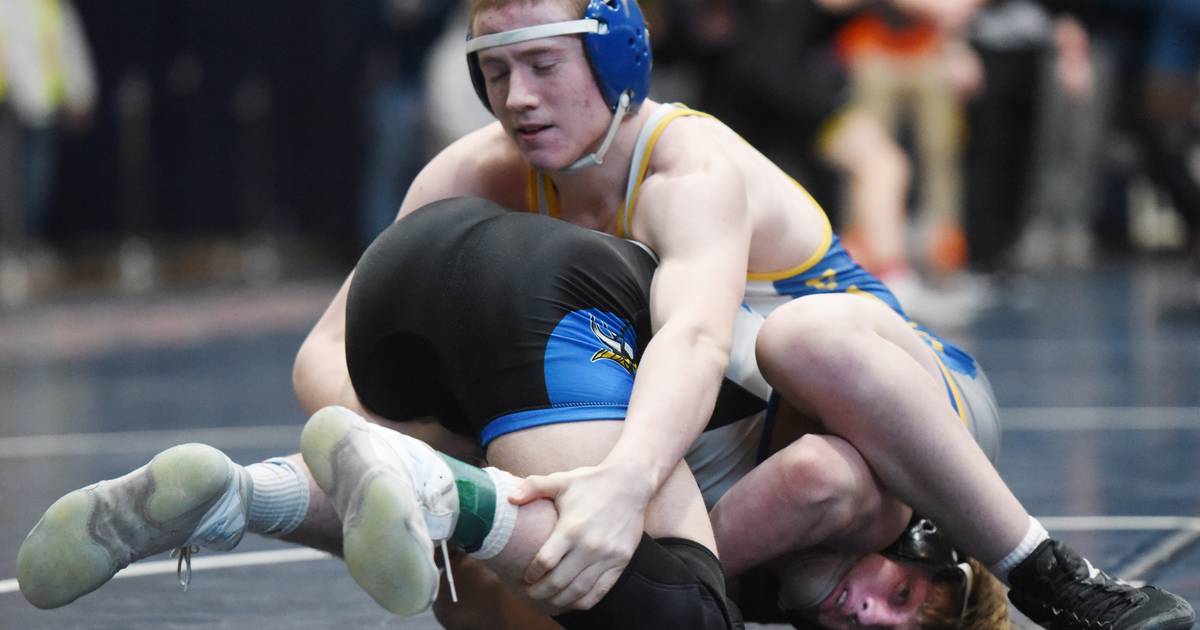 Wrestling: Here are the 2024 IHSA state qualifiers from the Suburban ...