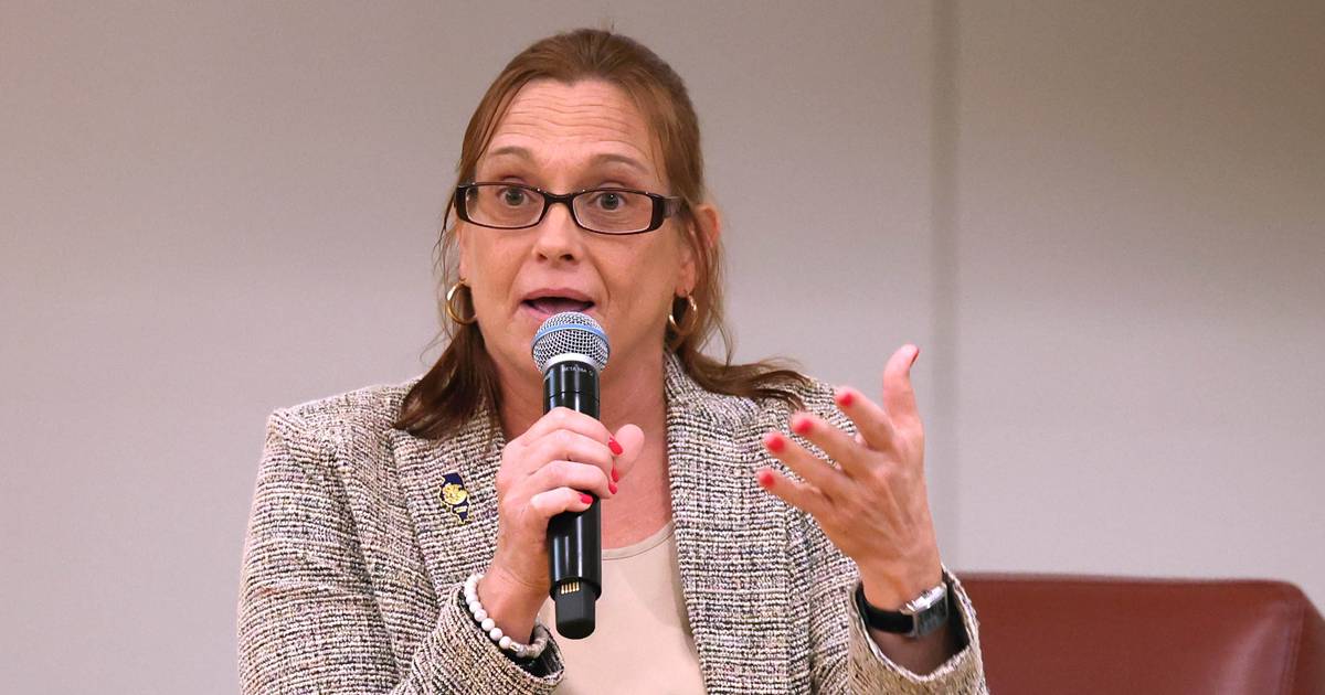 State Rep. Briel shares food resources amid SNAP halt – Shaw Local