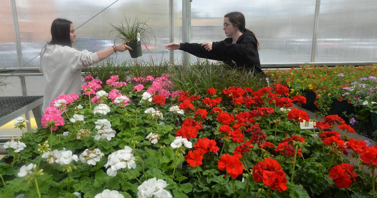 Oregon FFA greenhouse to open first weekend in May – Shaw Local