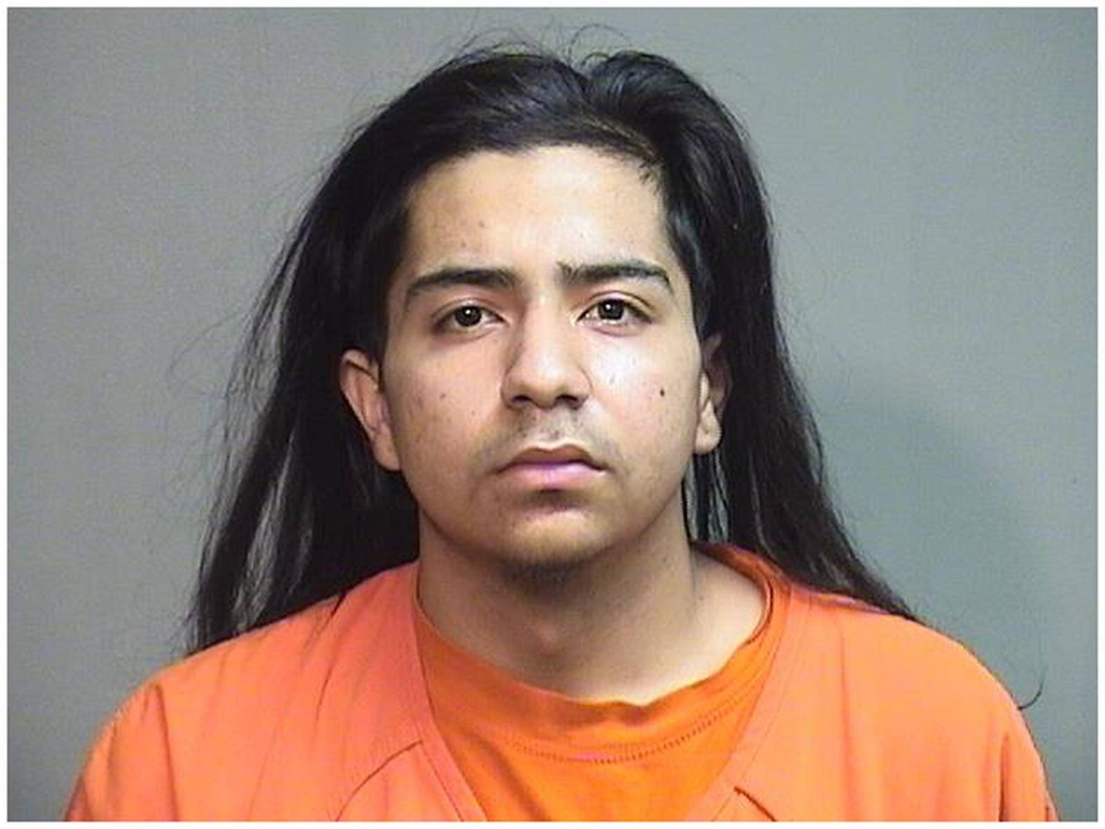 Lake in the Hills man accused of possessing defaced guns and ammo pleads guilty, gets prison ...