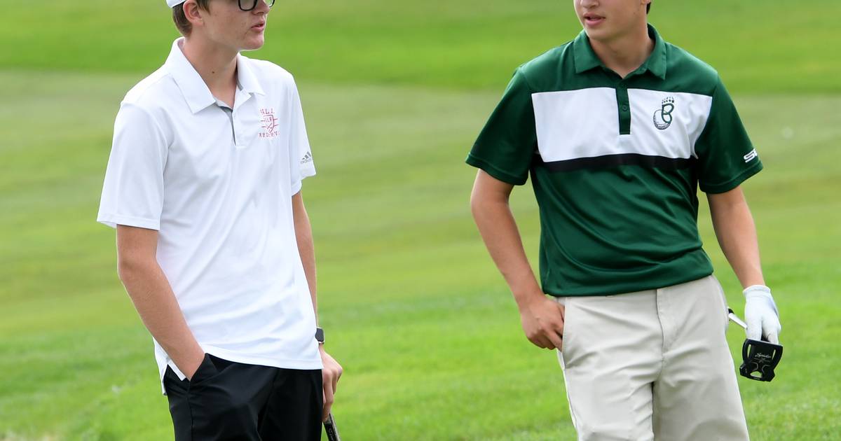 St. Bede’s Jake Delaney advances to state – Shaw Local