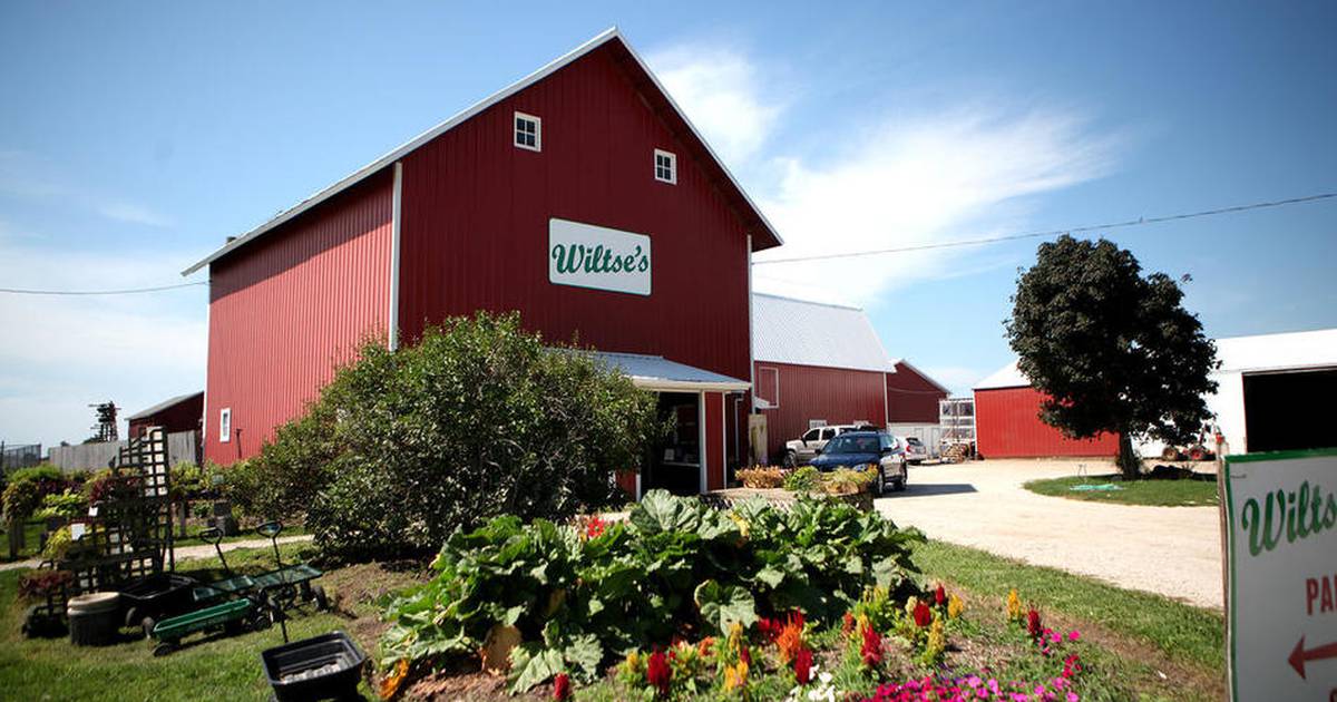 Wiltse’s Farm a family tradition in Maple Park – Shaw Local