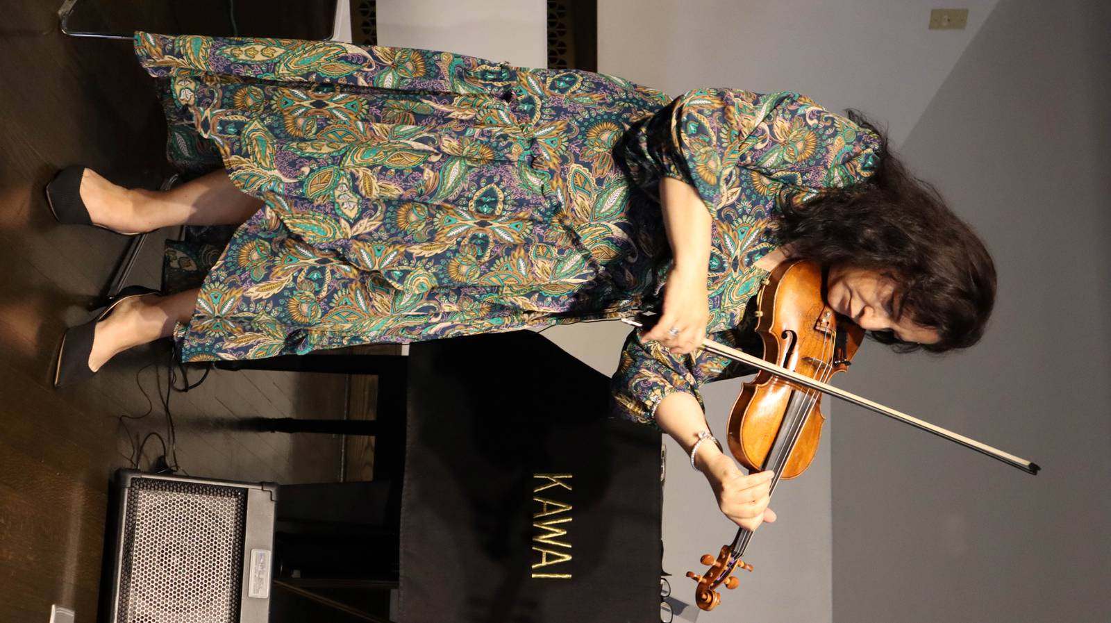 Violinist Daniela Bisenius, pianist Bobby Schiff to perform in St ...