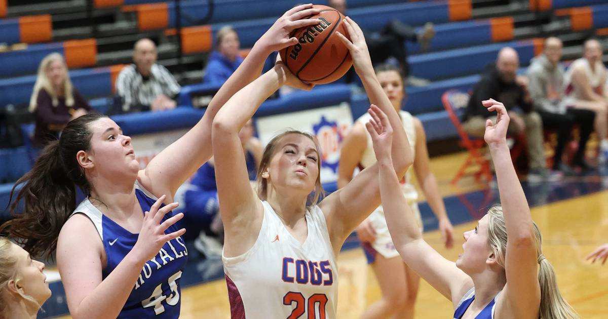 Girls basketball: Genoa-Kingston beats Hinckley-Big Rock as Devin Werner just misses triple ...