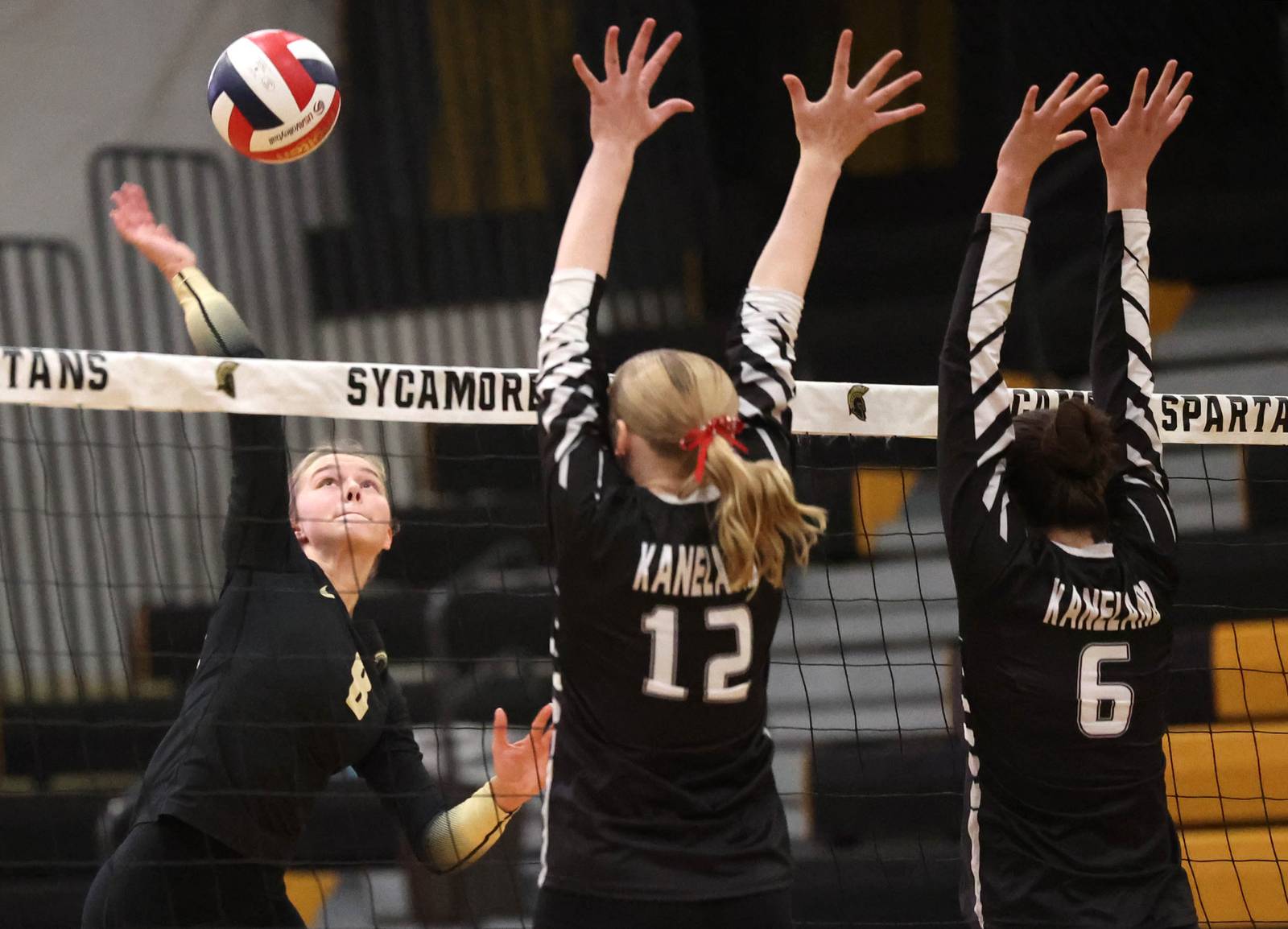 2024 Daily Chronicle Girls Volleyball Player of the Year: Sycamore’s Ava Carpenter – Shaw Local