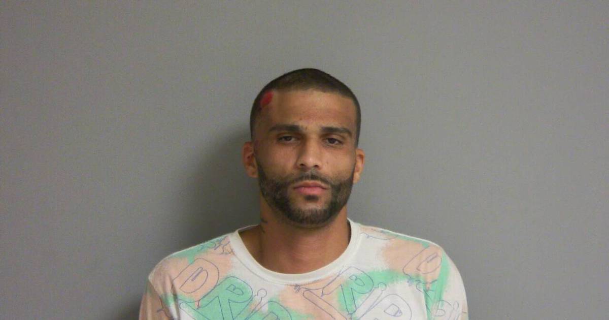 Ottawa felon gets 8 years in prison – Shaw Local