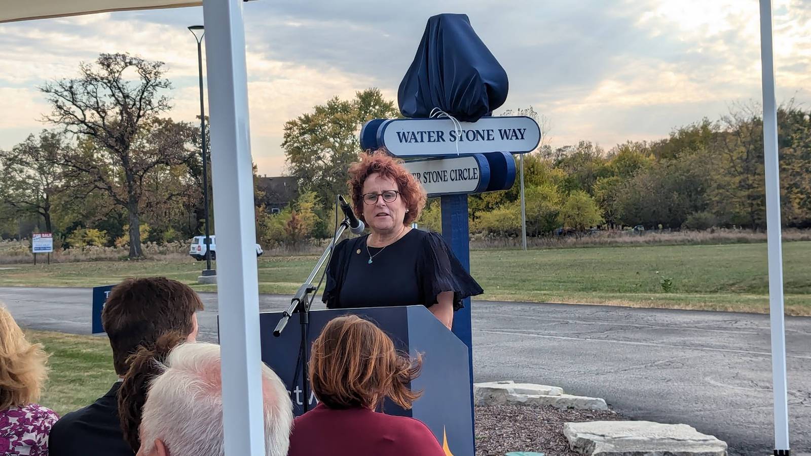 Lightways Hospice in Joliet dedicates street to former CEO Duane ...