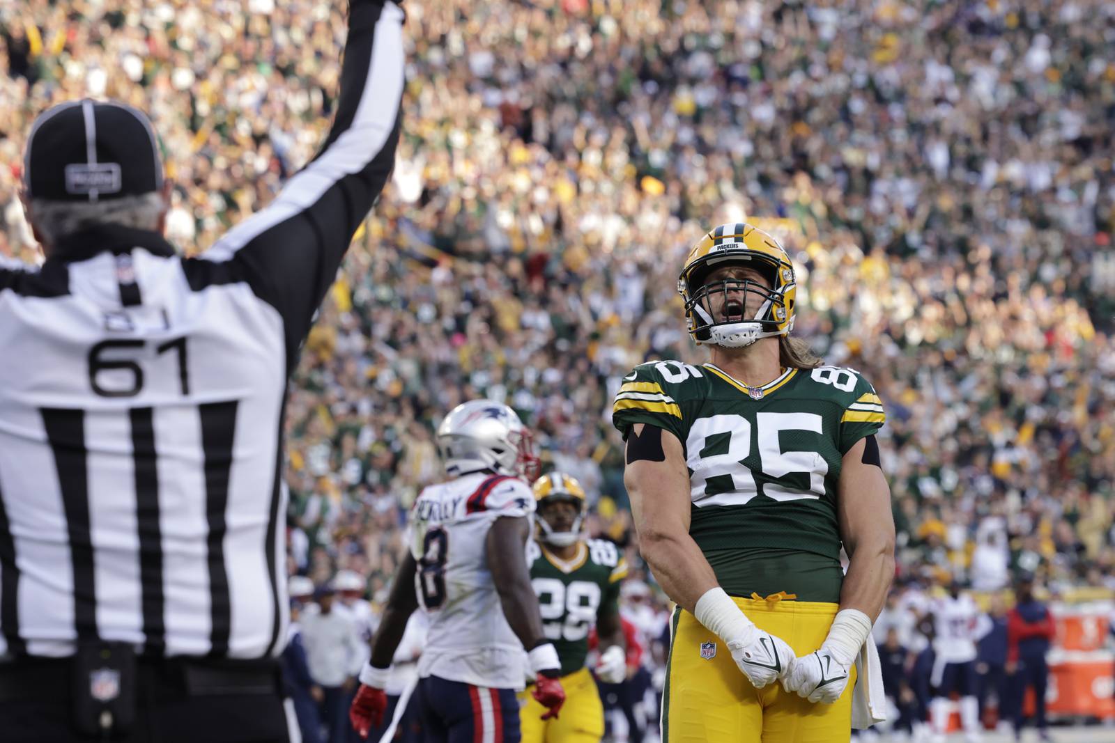 McHenry native Robert Tonyan has been waiting ‘my whole life’ to play ...