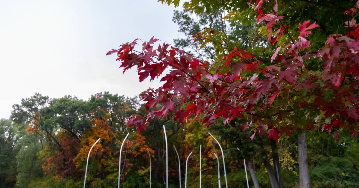 Community Pulse: Grundy County Land Use efforts in Fall 2025 – Shaw Local