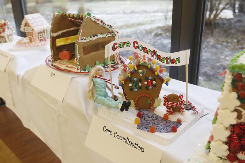 Photos: Gingerbread houses at Northwestern Medicine McHenry Hospital ...